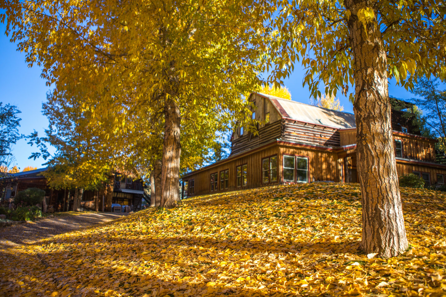 Blog - Anderson Ranch Arts Center