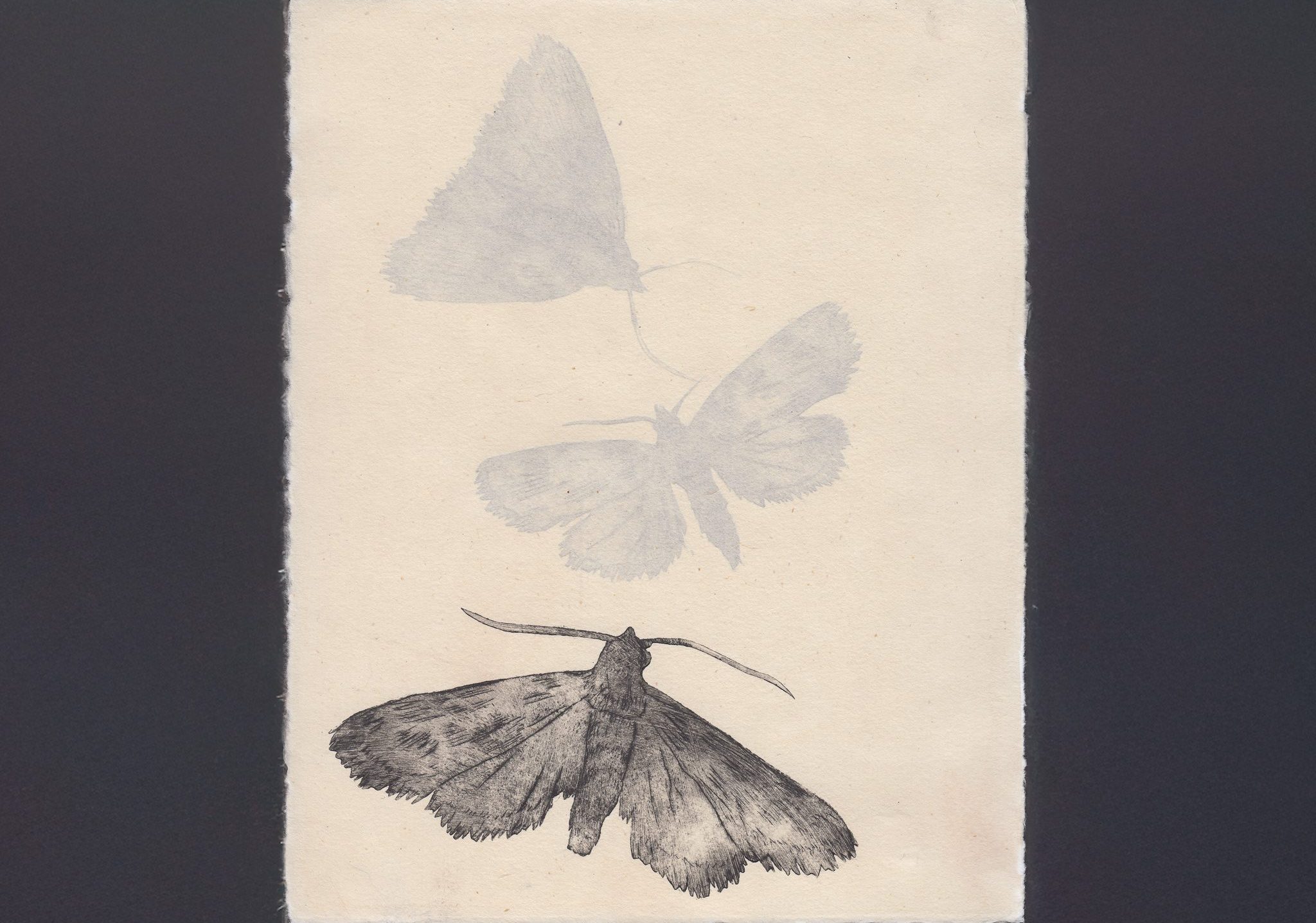 Shaped Plate Intaglio (R0202-25) - Anderson Ranch Arts Center